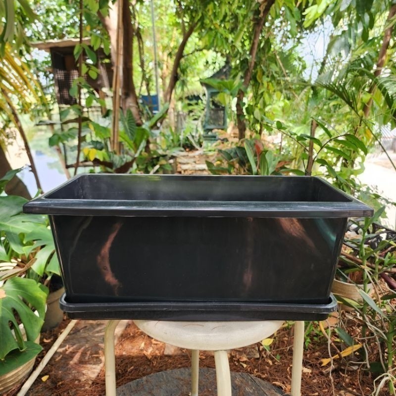 Jual (1pc/set) POT GL ELANG PANJANG 50 (50cm) : pot bunga segi panjang ...