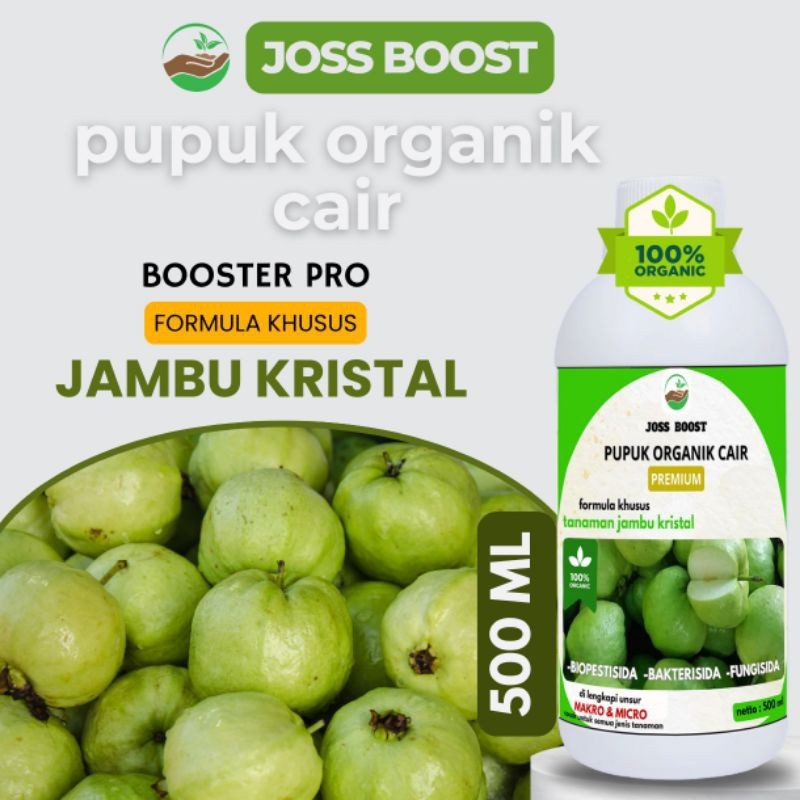 Jual Pupuk Organik Cair Booster Tanaman Jambu Kristal ,POC JOSS BOOST JAMBU KRISTAL, Melebatkan ...