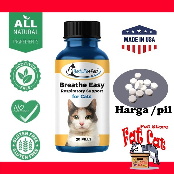 Jual obat flu kucing pilek Breathe Easy pilek ngorok infeksi pernafasan ...