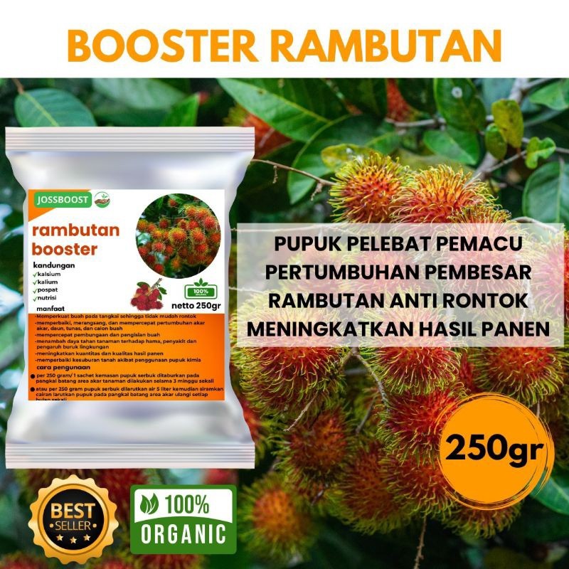 Jual Pupuk Booster Rambutan Organik Pelebat Buah Rambutan Cepat Berbuah Lebat Anti Rontok ...