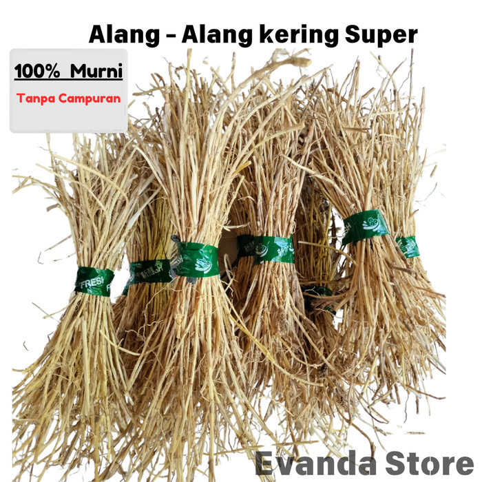 Jual Akar Alang Alang Kering alami Bersih Higienis alang-alang Ilalang ...