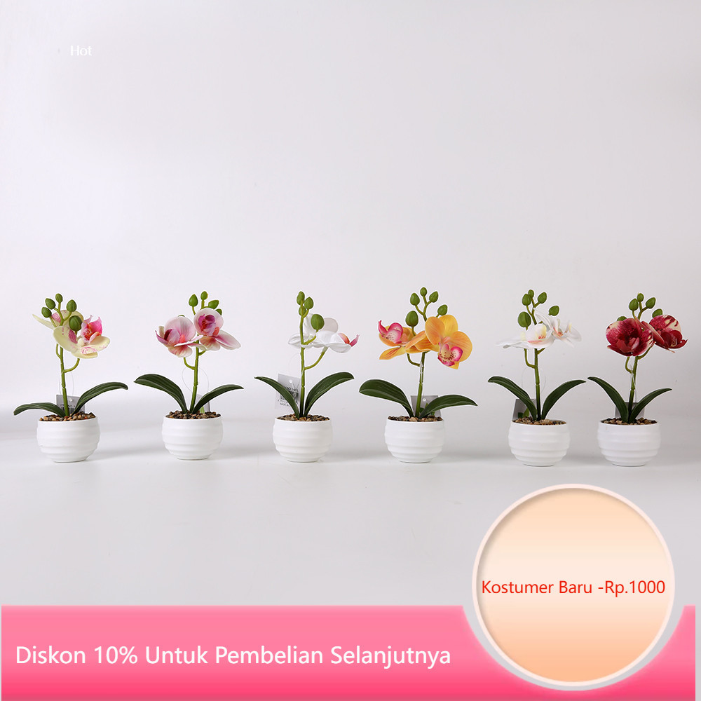 Jual Bunga Anggrek Hias Phalaenopsis Dengan Pot Bulat Artificial Bunga ...