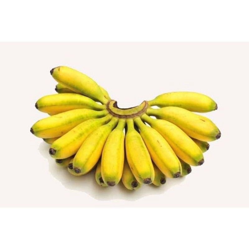 Jual Pisang Muli Uli 1kg Untuk Hajatan Nikahan | Shopee Indonesia