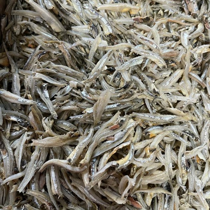 Jual teri jengki belah 500gram | Shopee Indonesia