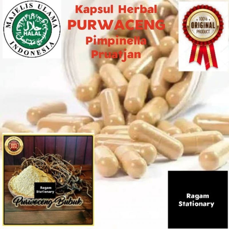 Jual Kapsul bubuk Purwaceng Purwoceng herbal jamu obat curah 100 butir ...