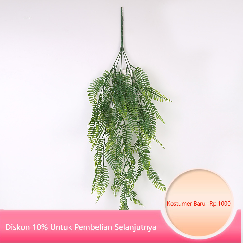 Jual Tanaman Rambat Pakis Rotan Persia Palsu Daun Boston Hias Merambat ...
