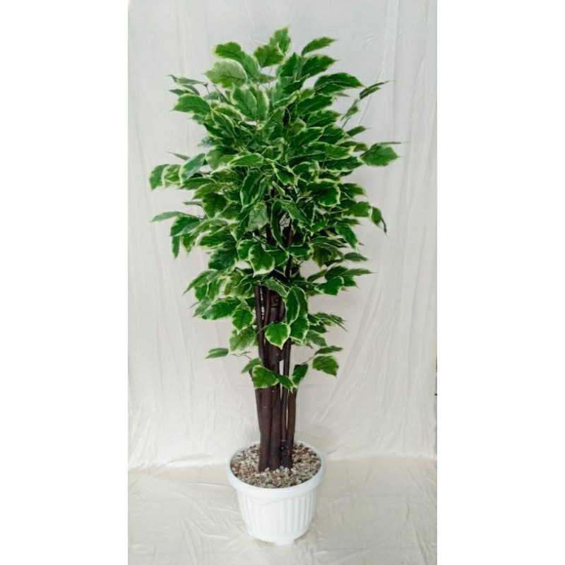 Jual Pohon Artificial Shinfu Hijau 160CM | Shopee Indonesia