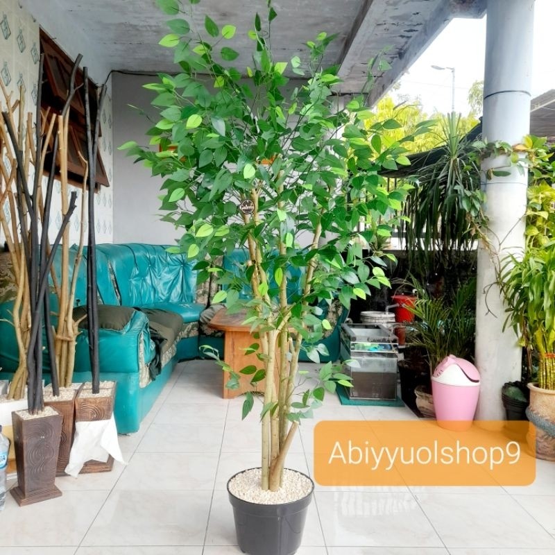 Jual NEW ARRIVAL Pohon Hias Artificial Beringin Varigata 2 batang pohon ...