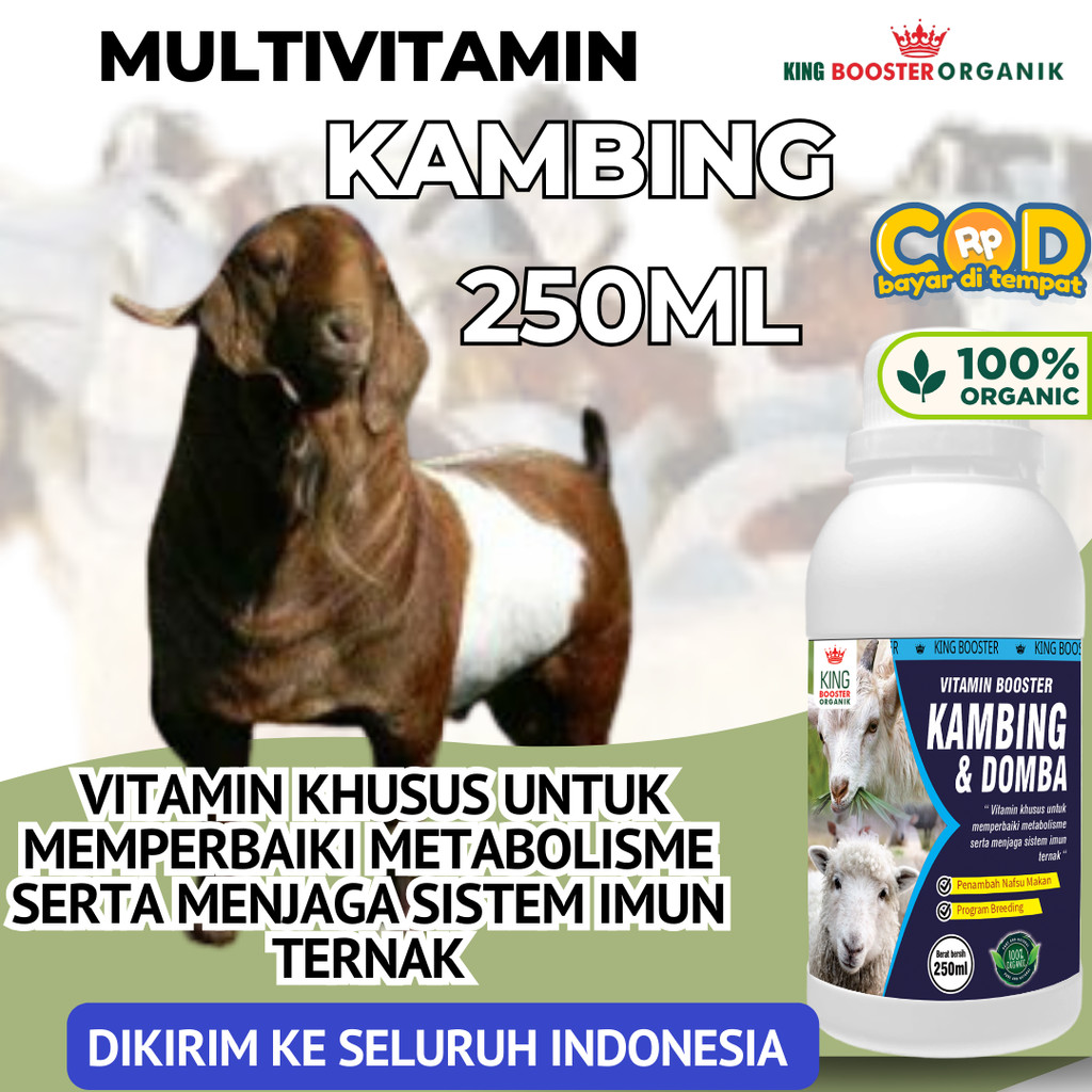 Jual Kingboost- Vitamin Penggemuk kambing 250 ml booster pertumbuhan ...
