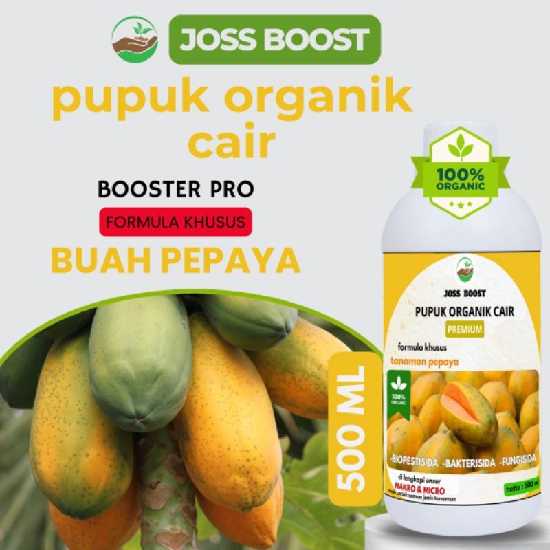 Jual pupuk Booster Pepaya 500ML / Pupuk Pelebat Tanaman Buah pepaya Pemacu Tumbuh Bunga dan Buah ...