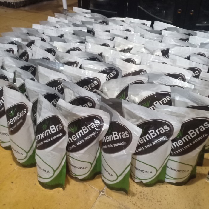 Jual Benih Rumput Brachiaria Humidicola / Decumbens Hybrid / Rumput ...