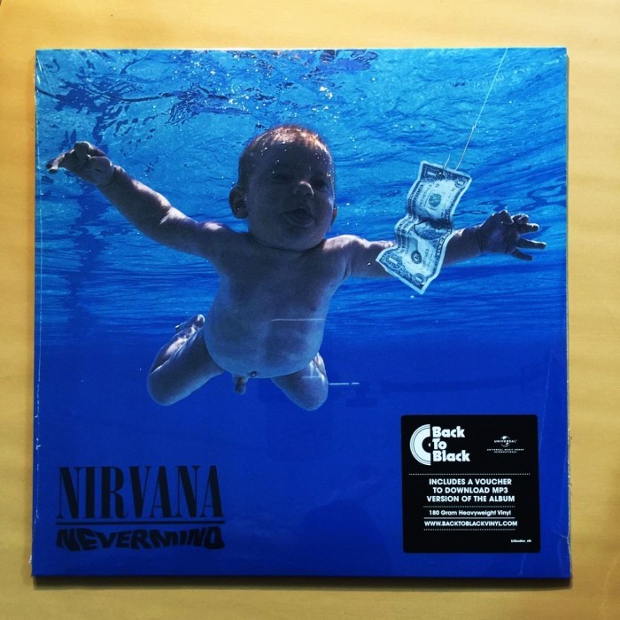 Jual Vinyl NIRVANA - Nevermind [Piringan Hitam/LP/PH] | Shopee Indonesia