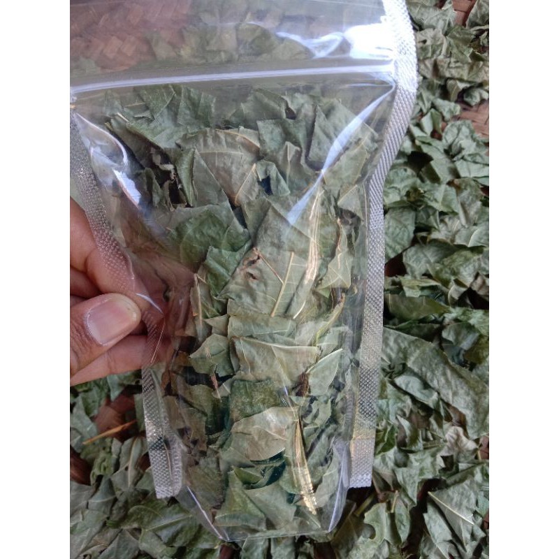Jual DAUN DADAP KERING / SEREP / CANGKRING (DIJEMUR DIBAWAH SINAR ...