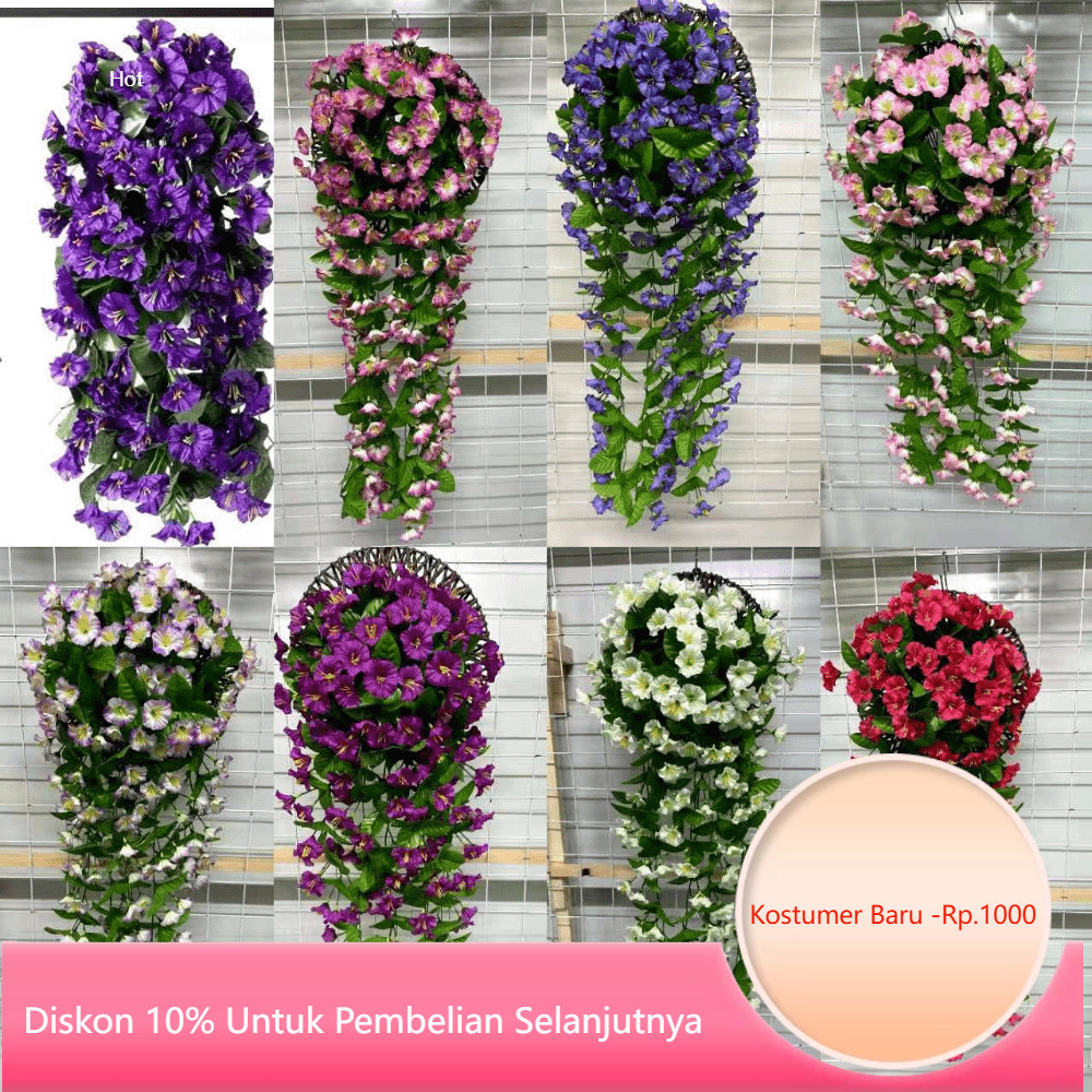 Jual Tanaman Anggur Bunga Morning Glory Gantung Buatan Bunga Petunia ...
