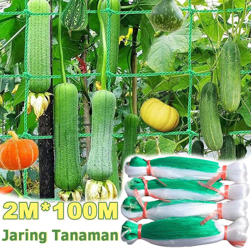 Jual 100M Jaring Panjat Tanaman /Jaring Berkebun Pertanian Jaring Tanaman Buah Anggur Sayuran ...