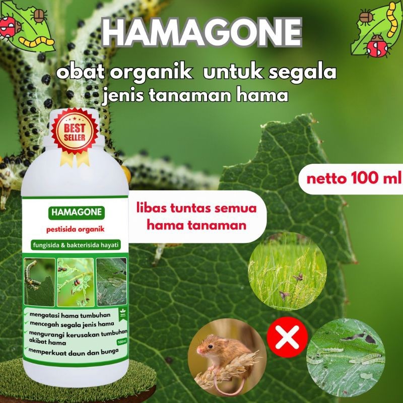 Jual OBAT HAMA ULAT PADI SUNDEP BELUK 500 ML HAMAGONE - Obat Hama Padi ...