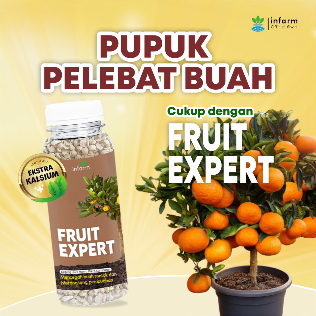 Jual INFARM - Pupuk Fruit Expert 250 gram Asupan Nutrisi Perangsang ...