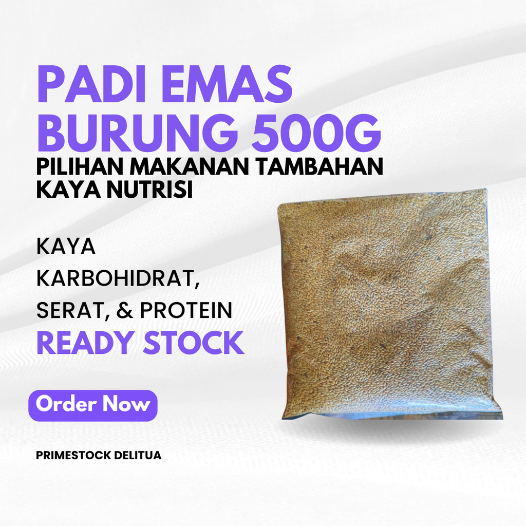 Jual Padi Emas Burung: Pilihan Makanan Tambahan yang Kaya Nutrisi - 500 ...