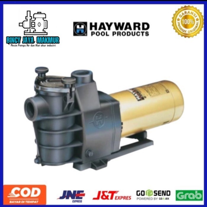 Interesting Hayward 1 Hp Super Pump Photos