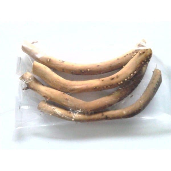 Jual Herbal Akar Pinang Segar/akar pohon pinang segar | Shopee Indonesia