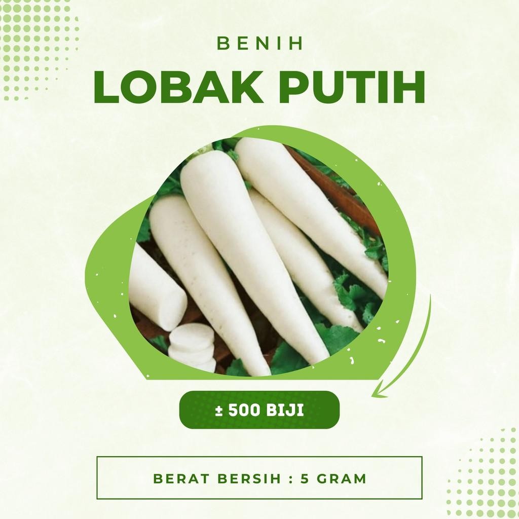 Jual [ PROMO ] 500 Benih Lobak Putih Unggul - Bibit Lobak Putih Segar ...