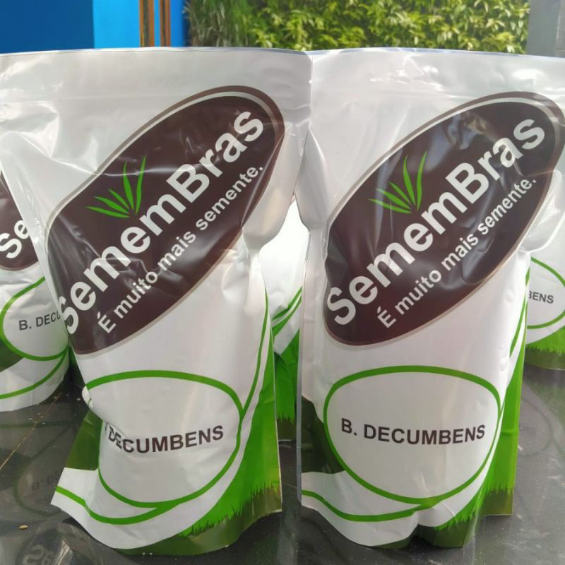Jual Bibit Rumput Pakan Ternak 1 Kilo Penghijauan - Benih Rumput ...