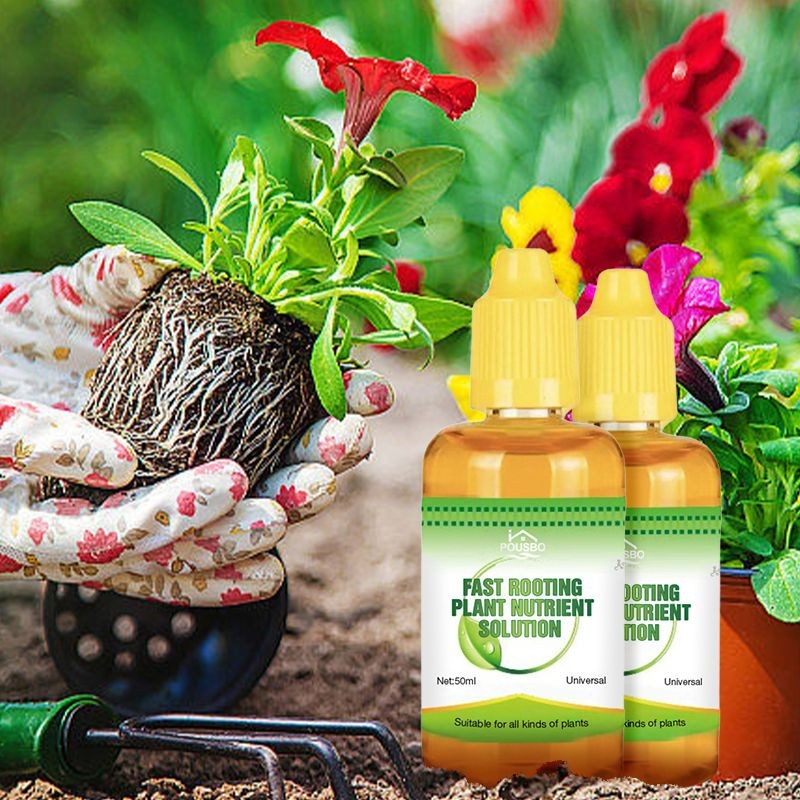 Jual Liquid Plant Rooting Solution Rapid Rooting Agent Liquid Rooting ...