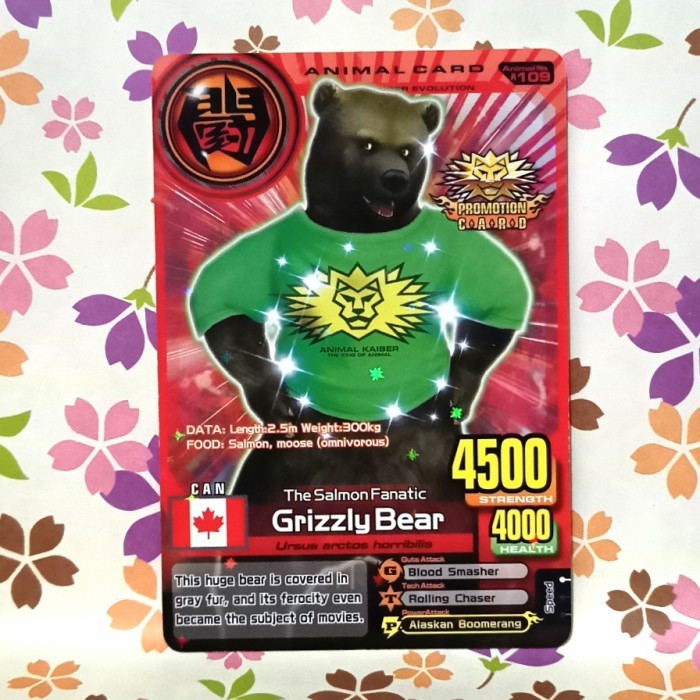 Jual animal kaiser promotion card grizzly bear | Shopee Indonesia