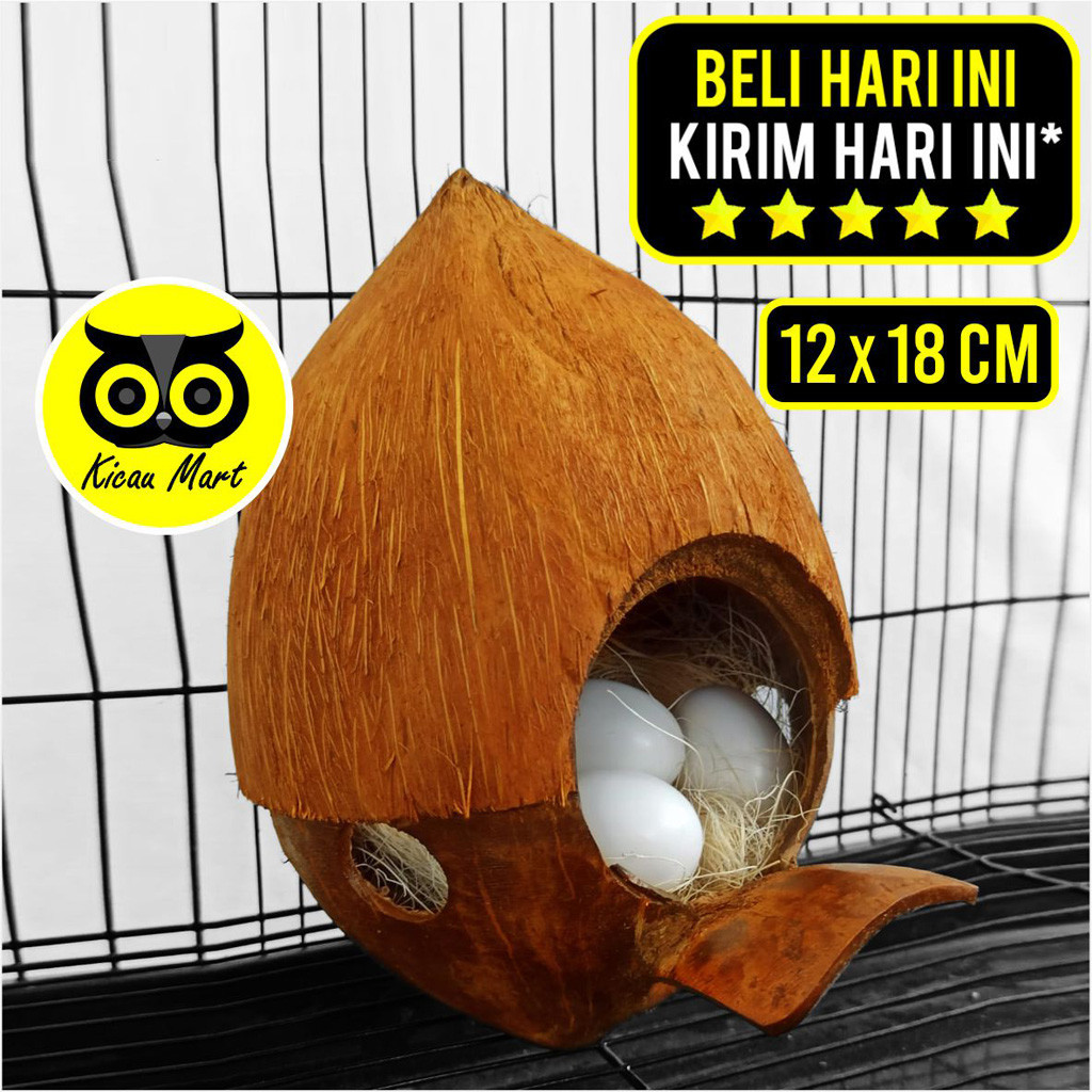 Jual KICAU MART GLODOK BATOK KELAPA JAMBUL PONI JEMBATAN GLODOK SARANG ...