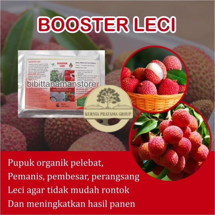 Jual Pupuk Organik Pelebat Buah dan Booster Leci Cepat Berbuah Lebat | Shopee Indonesia
