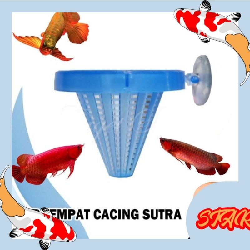 Jual CUP tempat makan ikan tempat wadah cacing sutra tempat cacing ...