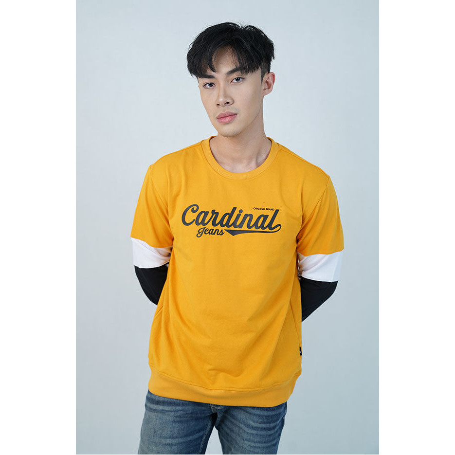 Jual Cardinal Sweater Pria C0197J07D | Shopee Indonesia