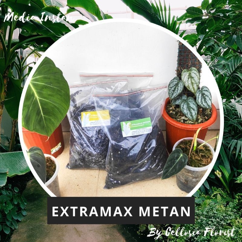 Jual Media Tanam Premium METAN EXTRAMAX Instan Siap Pakai By: Cellosia ...