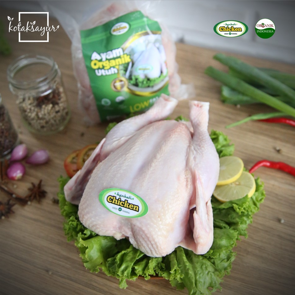 Jual Ayam Negeri Organik Berkah Chicken | Shopee Indonesia