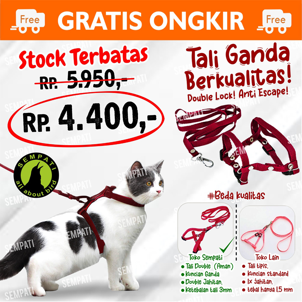 Jual SEMPATI TALI TUNTUN ANJING KUCING MODEL H HARNES HARNESS HERNES ...