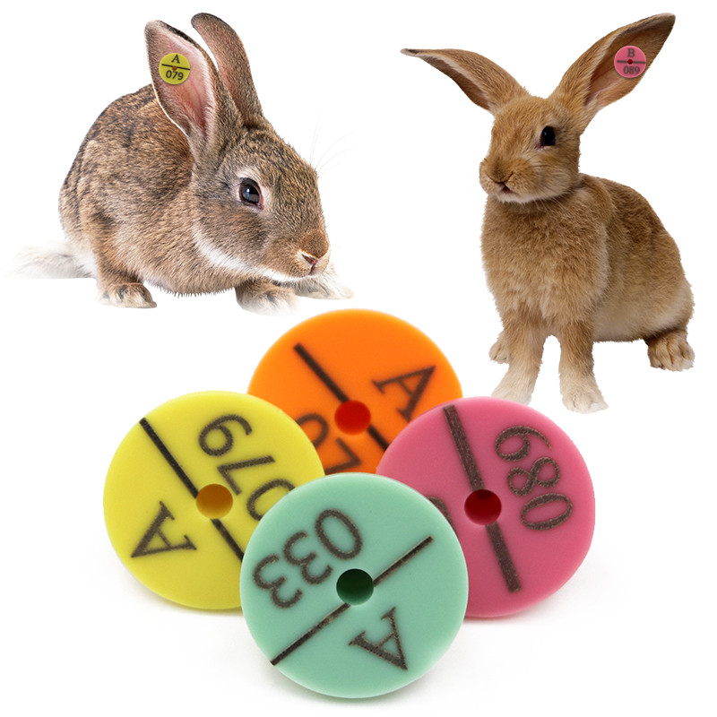 Jual 100Pcs Animal Identification Card Rabbit Ear Tag Sign with No.001 ...