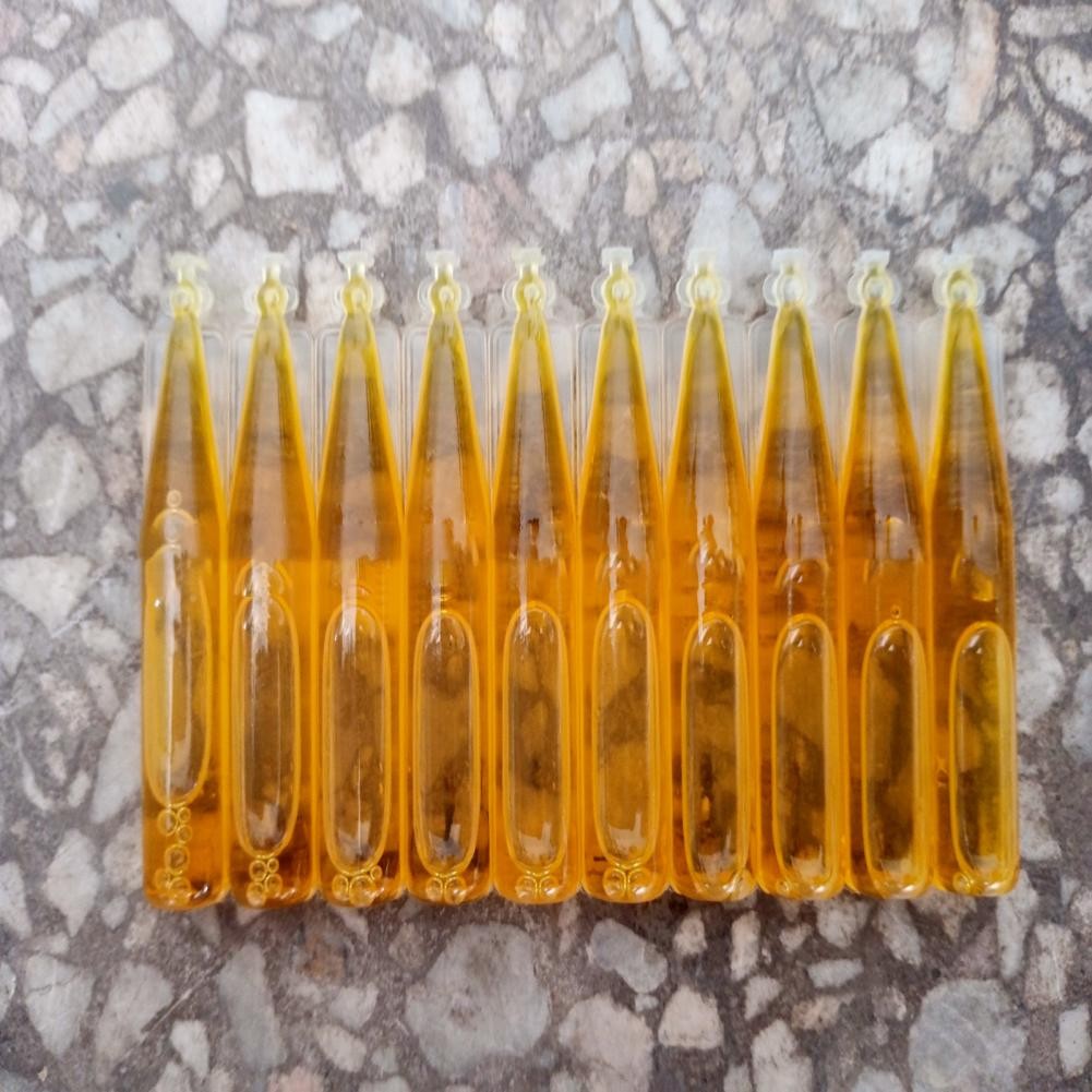 Jual Fruit Fly Bait Mini Fruit Fly Attractant Plastic Multi-occasional ...