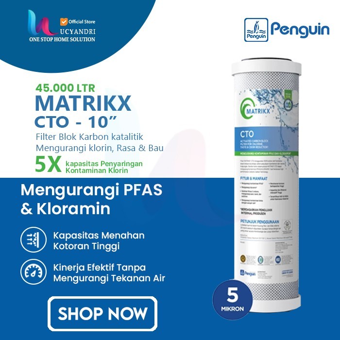 Jual Cartridge Saringan Air / Filter Air Penguin CTO MATRIKX 10 Inch ...