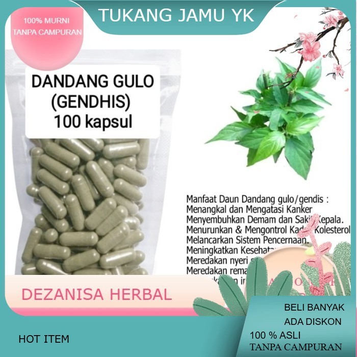 Jual Dandang Gendis/Gulo(kitajam) isi 100 kapsul untuk diabetes dan ...