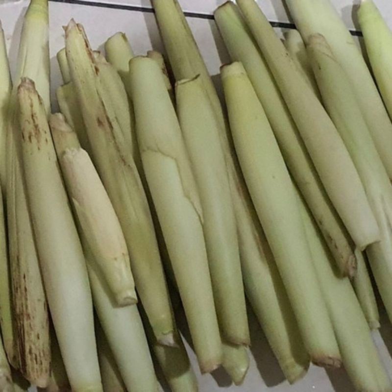 Jual TERUBUK SAYUR KHAS DESA TRUBUK 1KG | Shopee Indonesia