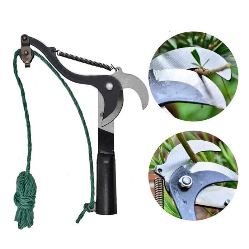 Jual gunting dahan pemotong ranting pohon gunting ranting pengrapi ...