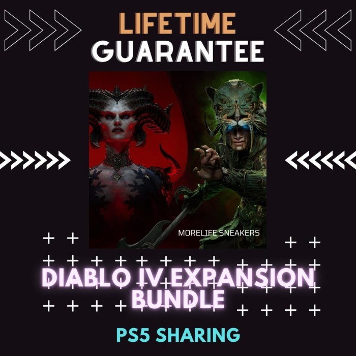 Jual Diablo IV Expansion Bundle, PlayStation 5, PS5 Digital sharing ...