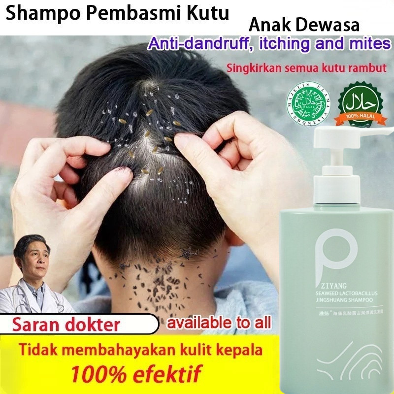 Jual shampoo kutu rambut shampoo kutu rambut anak shampoo anti kutu ...