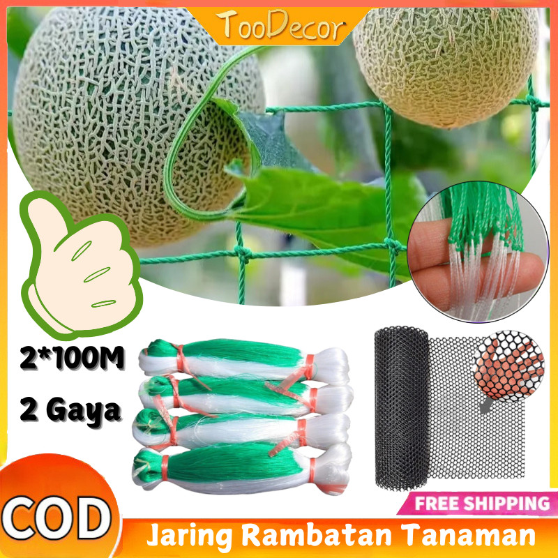Jual Jaring Net Rambatan Tanaman Untuk Jaring Pagar Ayam Kebun Jaring Rambatan Tanaman Buah ...