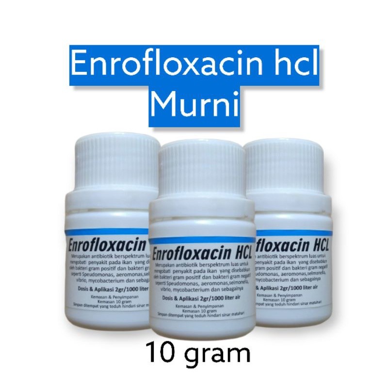 Jual Enrofloxacin murni 10 gram/obat antibiotik ikan/floxacin/ENRO/enroflok/booster | Shopee ...