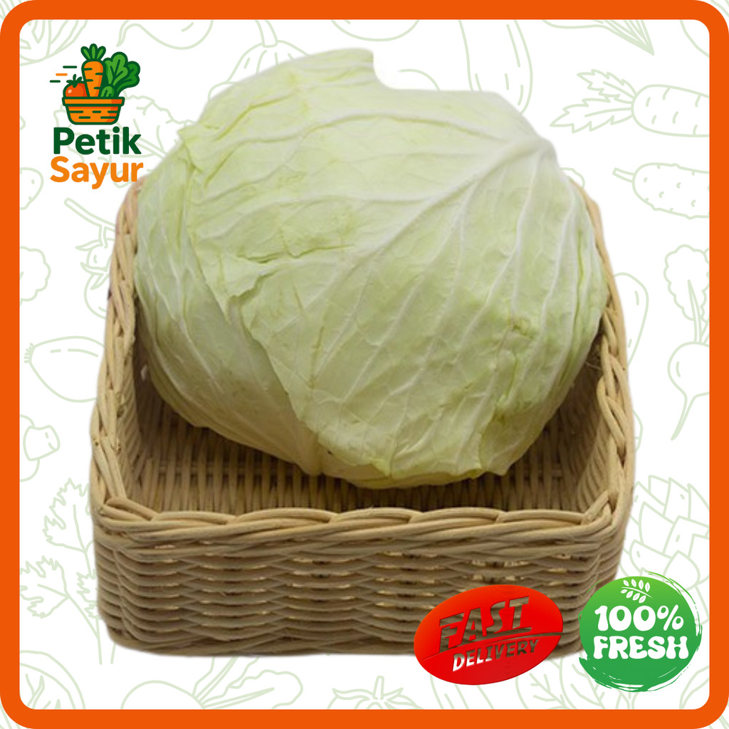 Jual Kol Putih Konvensional 1 kg PetikSayur | Shopee Indonesia