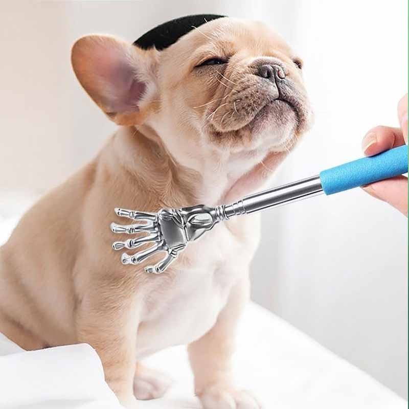 Jual Practical Pets Scrat ing Massage Kit Metal Palm Shape Scrat er ...