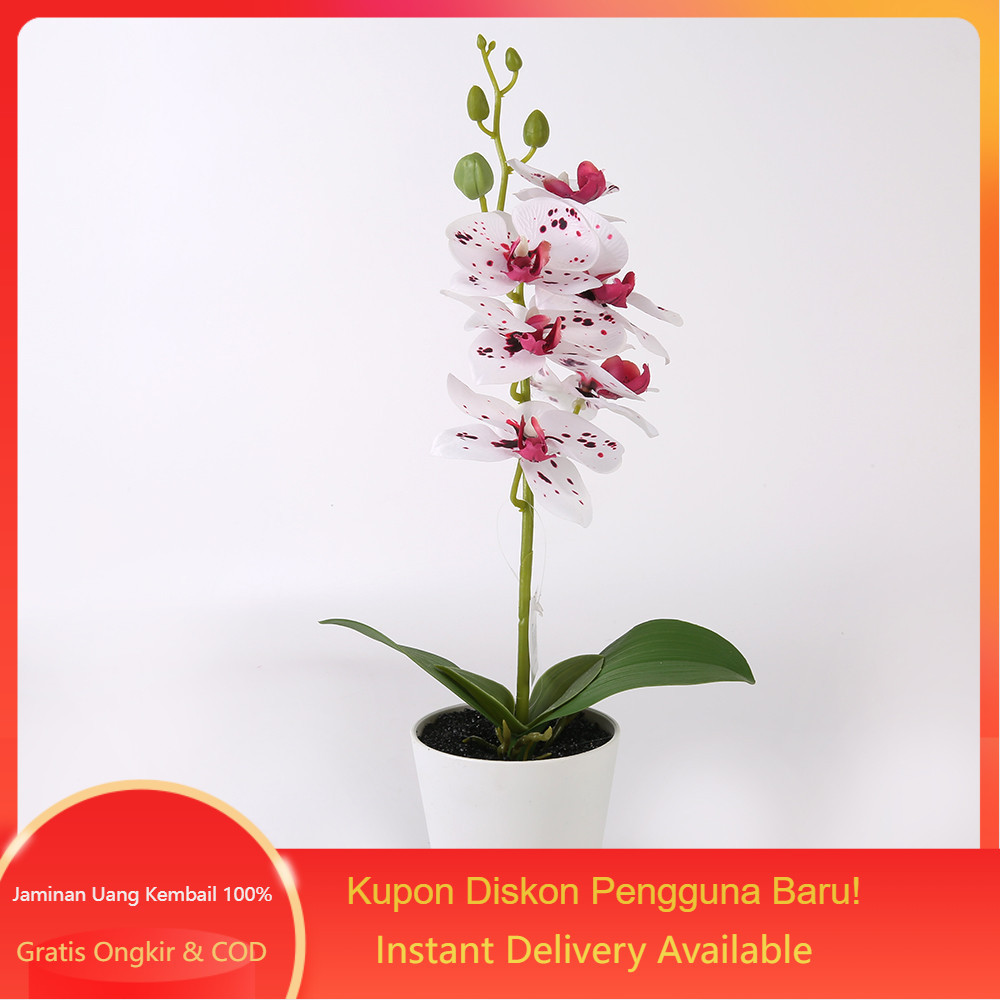 Jual Bunga Anggrek Kupu-Kupu Dengan Pot Real Touch Artificial Bunga ...