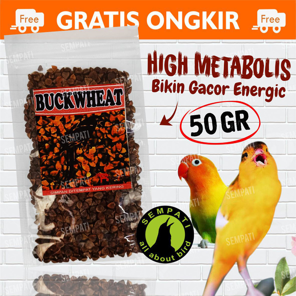 Jual SEMPATI BUCKWHEAT PAKAN MAKANAN BURUNG LOVEBIRD PARAKEET PARROT ...