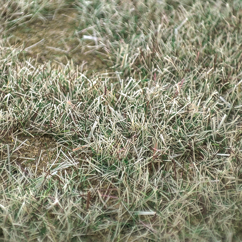 Jual 100G 3mm Blended Season Grass Static Grass for scale train railway ...